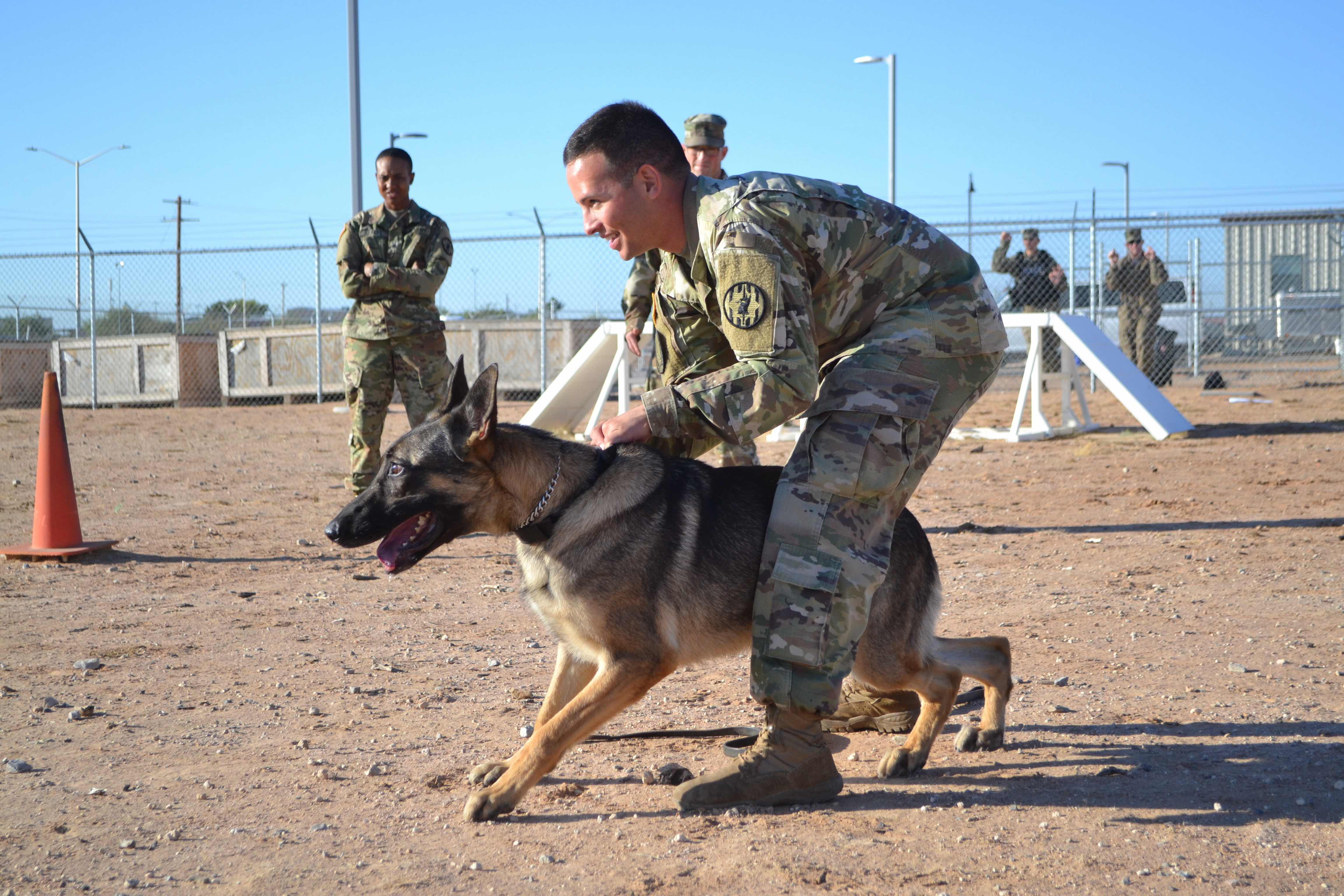 US Army invents, patents 'positive pressure dog respirator' | TechLink